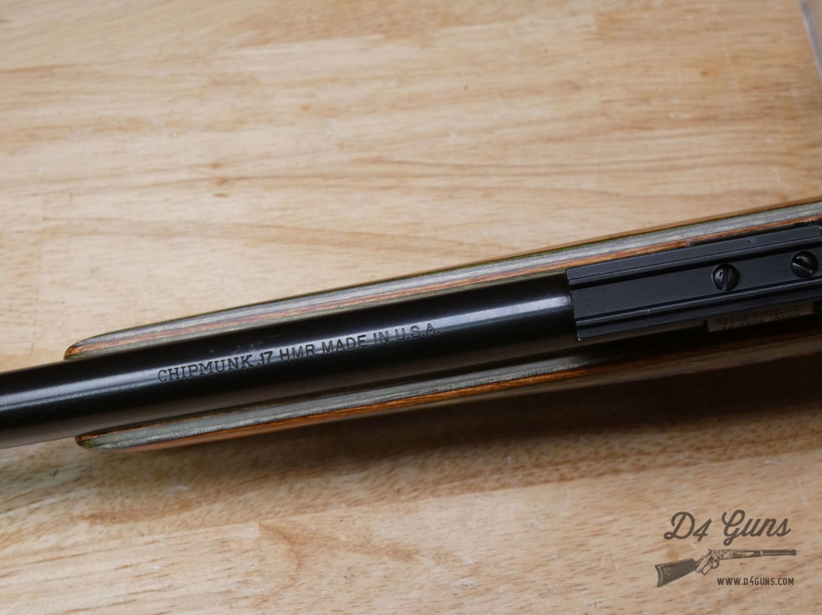 Rogue Rifle Company Chipmunk Youth Rifle - .17 HMR - Single Shot ...