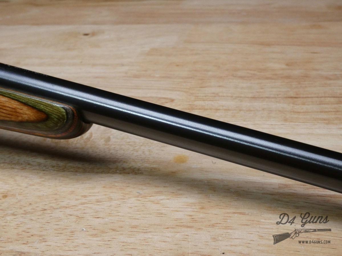 Rogue Rifle Company Chipmunk Youth Rifle - .17 HMR - Single Shot ...